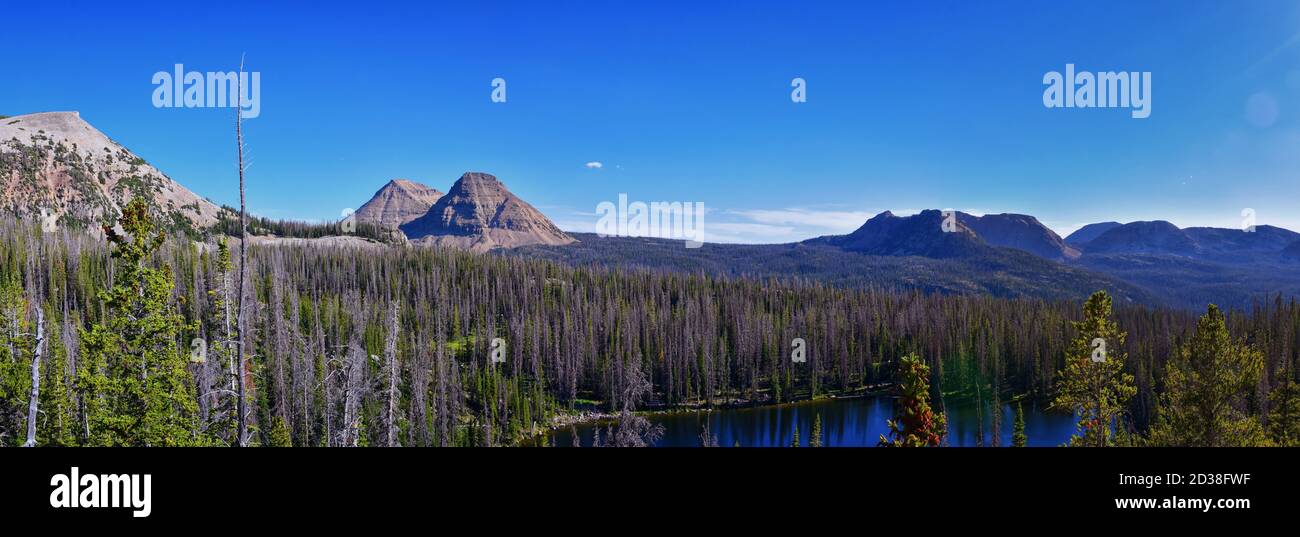 Lake Cuberant hiking trail views of ponds, forest and meadows with Bald ...