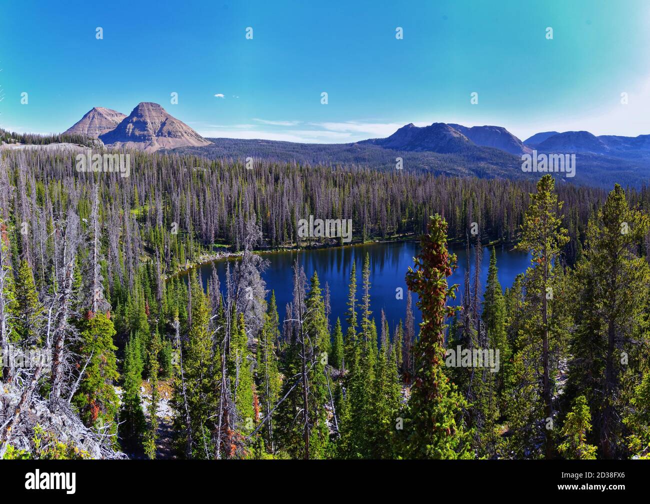 Lake Cuberant hiking trail views of ponds, forest and meadows with Bald ...