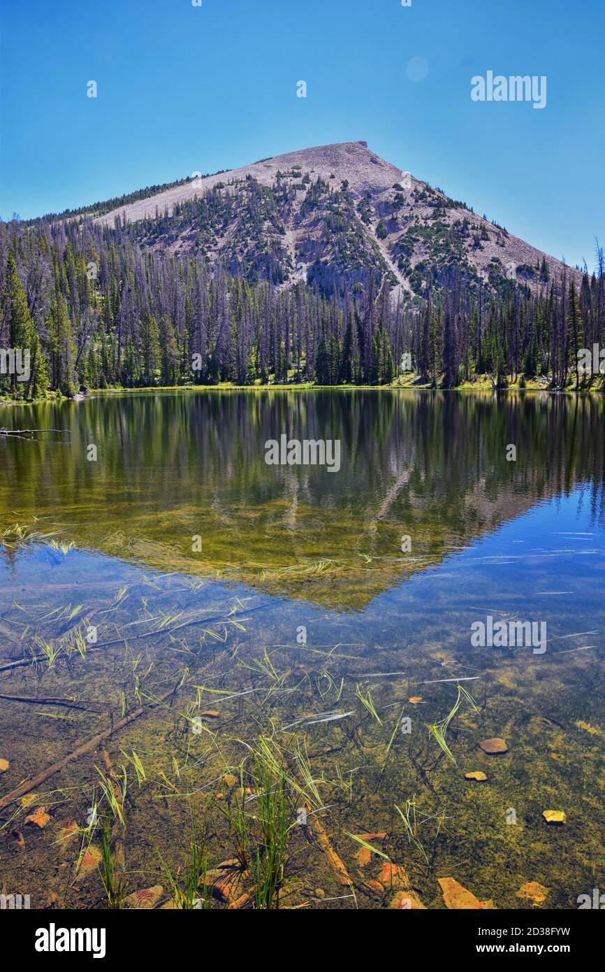 Lake Cuberant hiking trail views of ponds, forest and meadows with Bald ...