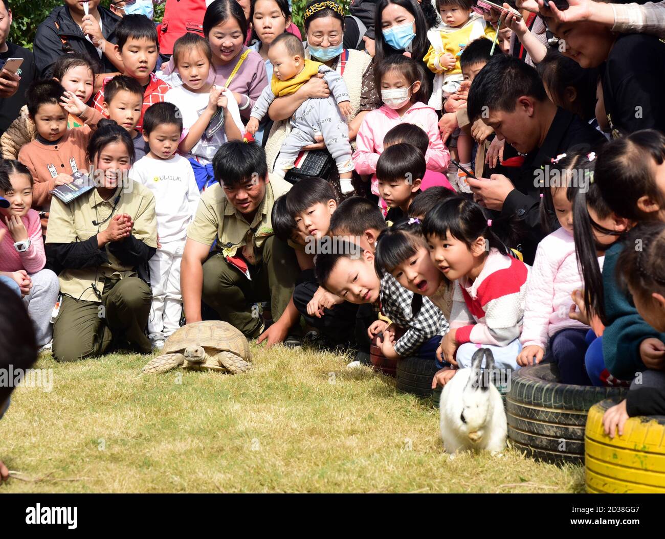 Hare and tortoise race hi-res stock photography and images - Alamy