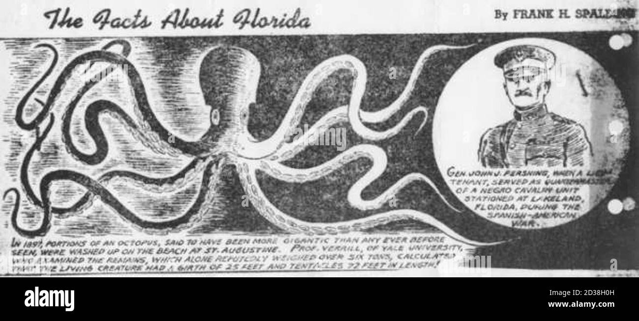 The St. Augustine Monster Stock Photo - Alamy