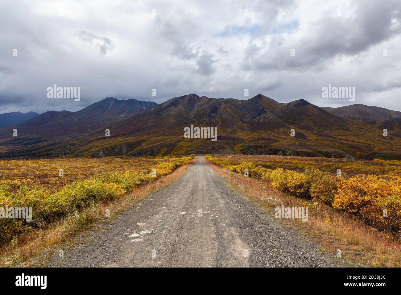 Scenic Road in Yukon, Canada Stock Photo - Alamy