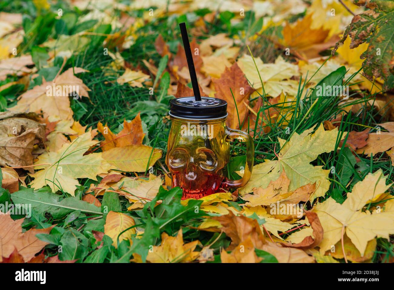 Empty skull shape glass on the fallen yellow leaves Stock Photo - Alamy