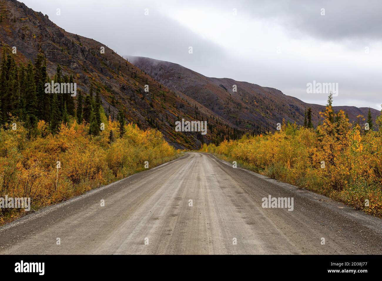 Scenic Road in Yukon, Canada Stock Photo - Alamy