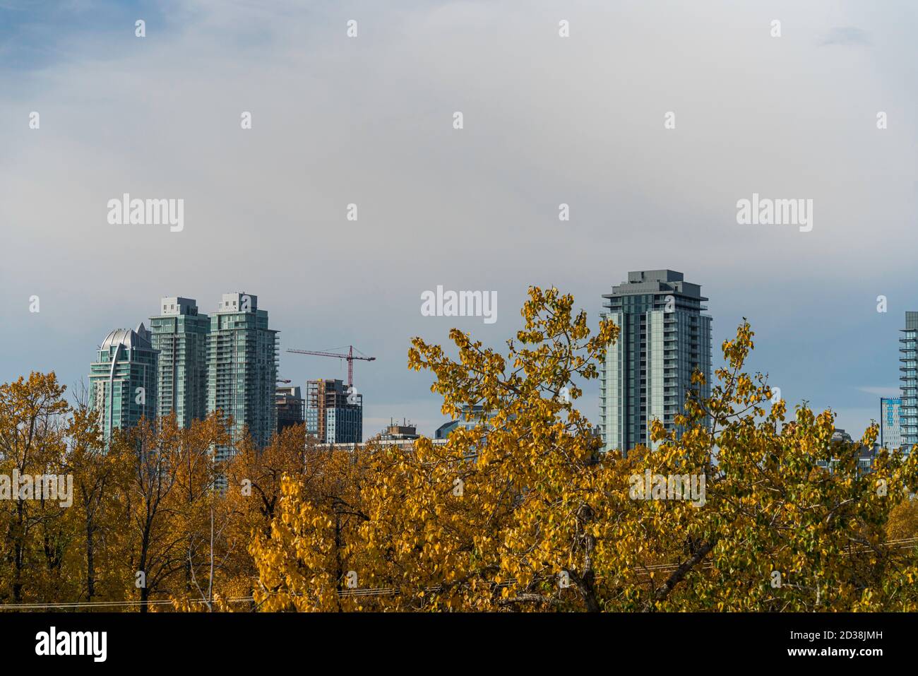 Downtown city skyline with fall trees in foreground Stock Photo - Alamy