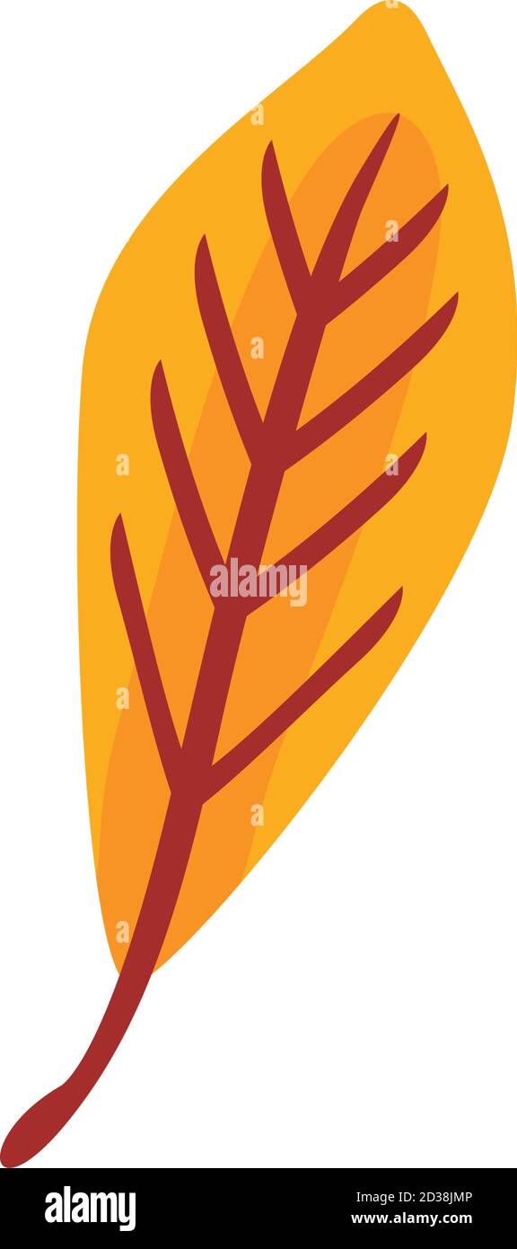Lanceolate leaf shape Stock Vector Images - Alamy