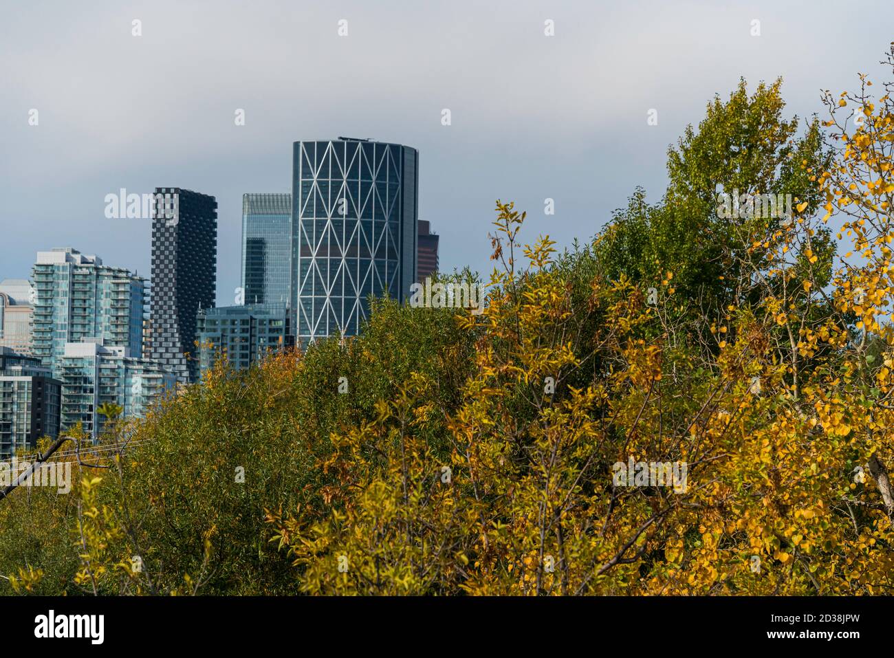 Downtown city skyline with fall trees in foreground Stock Photo - Alamy