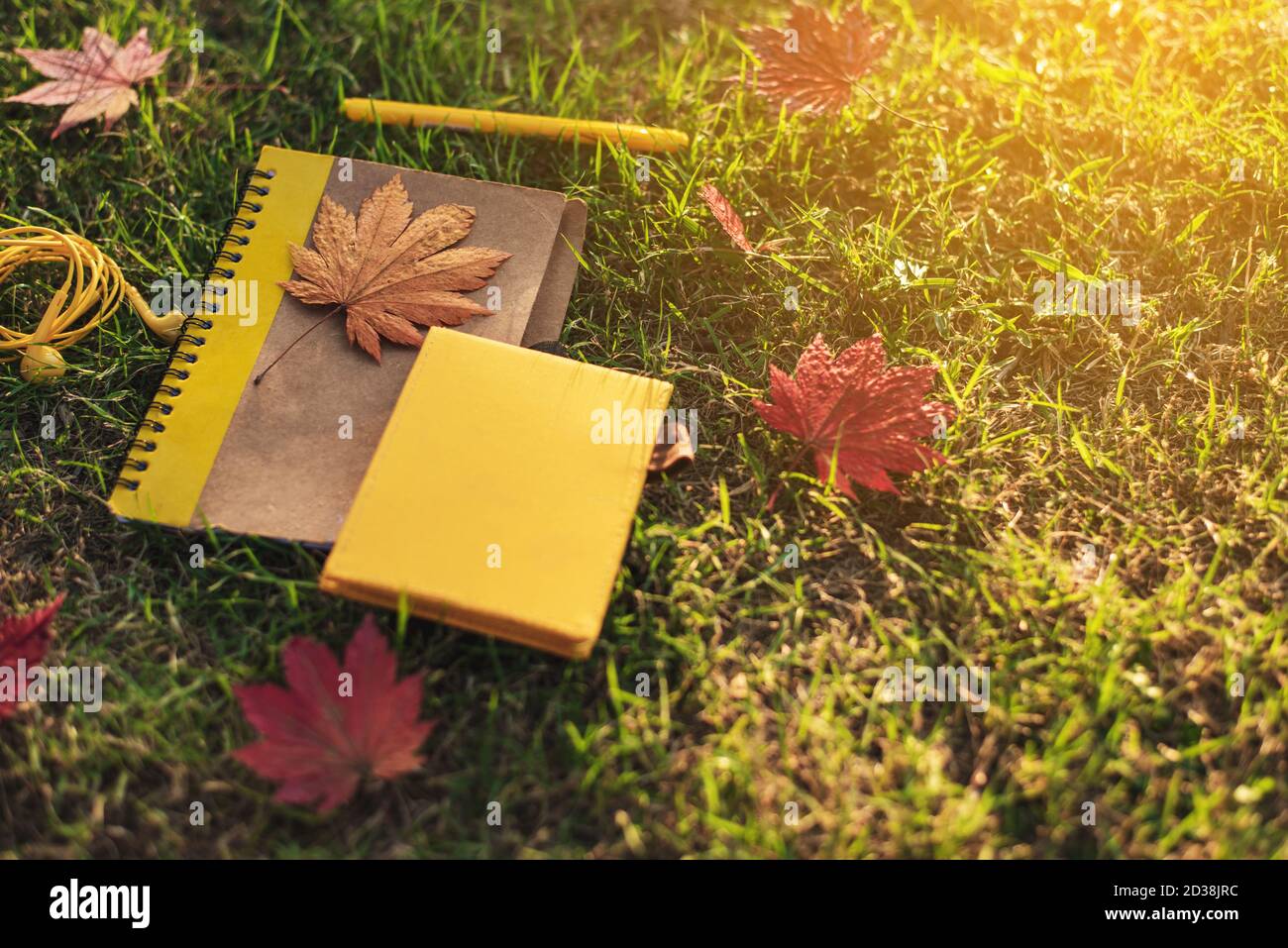 Notebook, pen, yellow headphones and red maple leaf paste on the green ...
