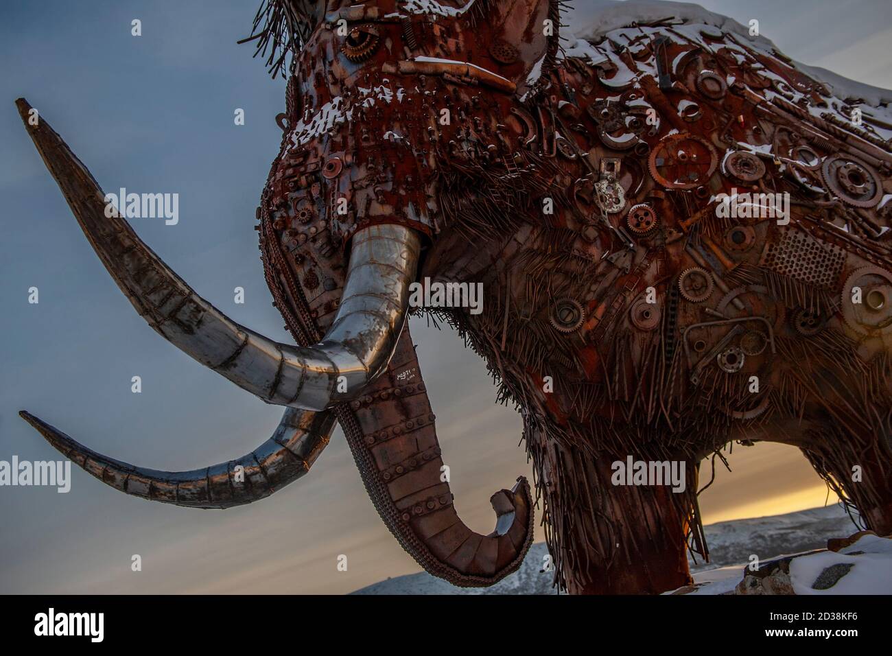 Mammoth husks hi-res stock photography and images - Alamy