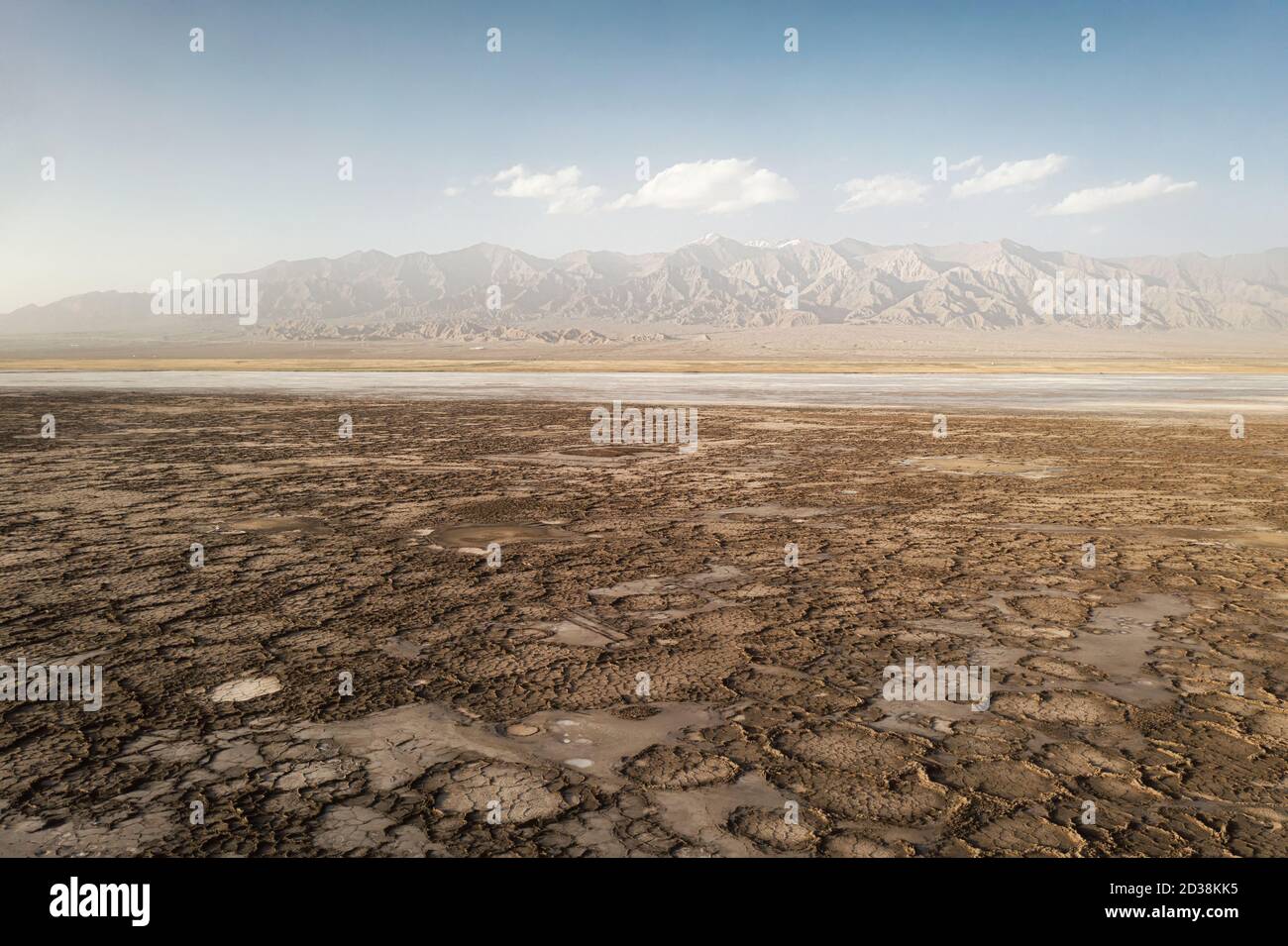 Salty marsh soil hi-res stock photography and images - Alamy