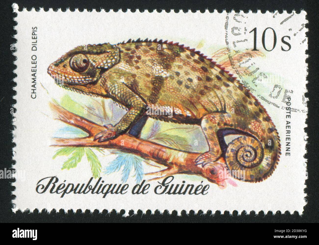 GUINEA CIRCA 1977: stamp printed by Guinea, shows Flap-necked chameleon ...