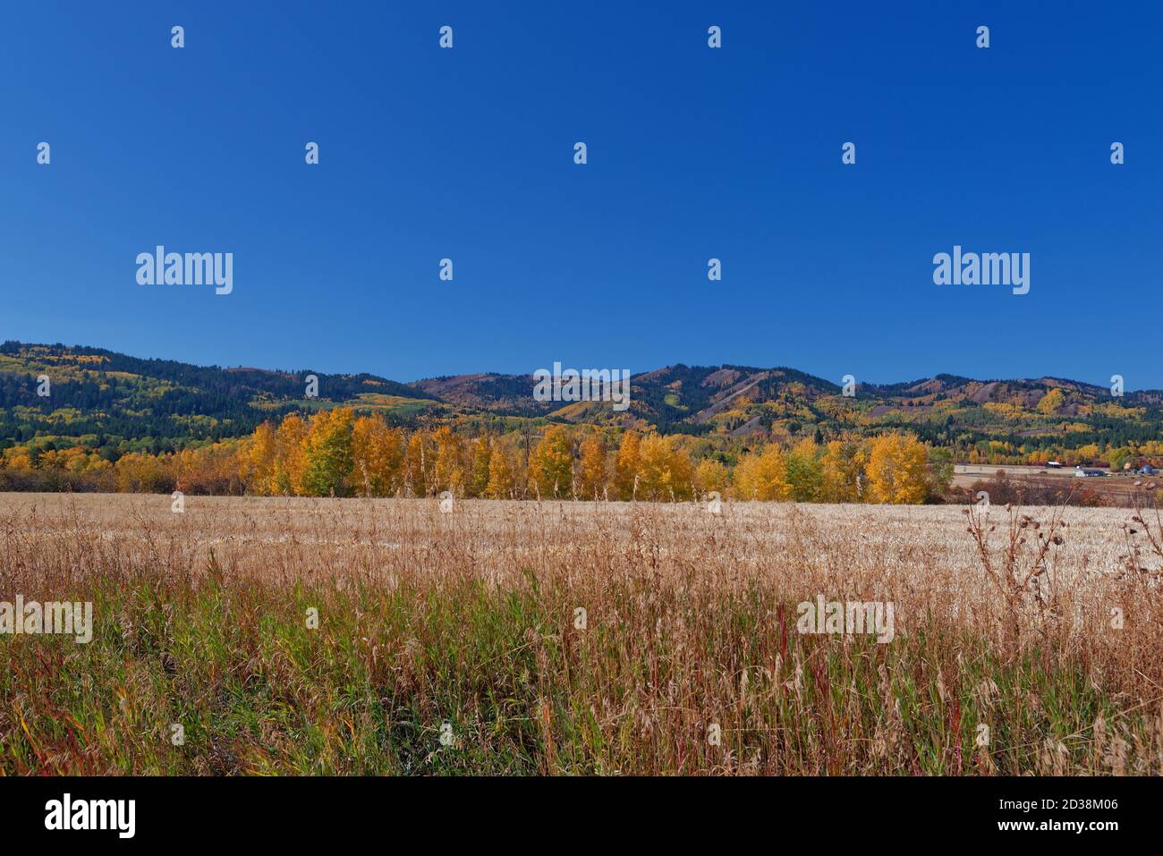 Victor Wood High Resolution Stock Photography and Images - Alamy