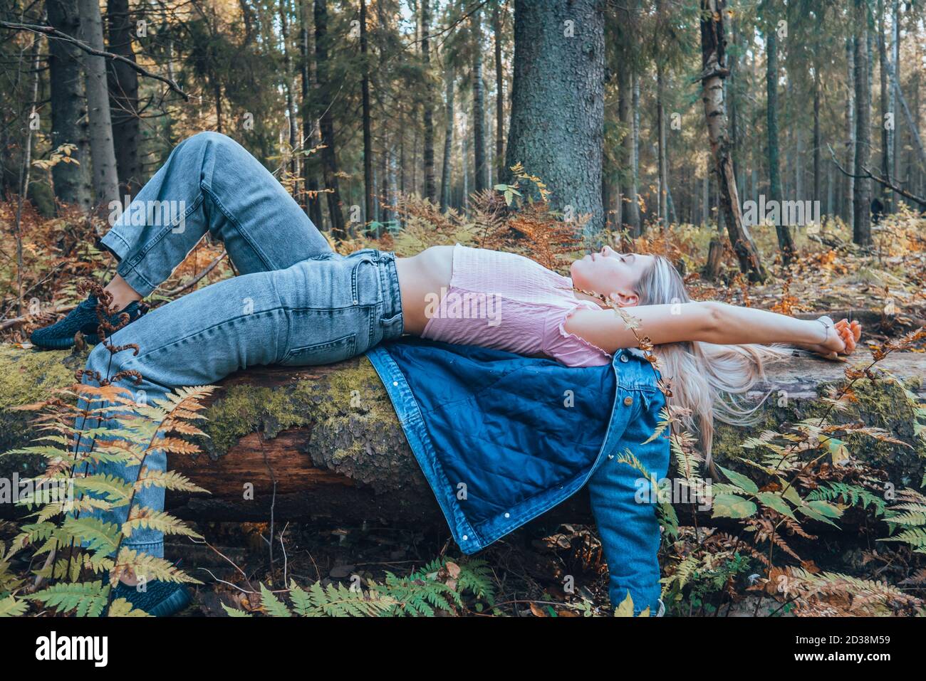 A girl in the woods on a tree, a view from above Stock Photo - Alamy