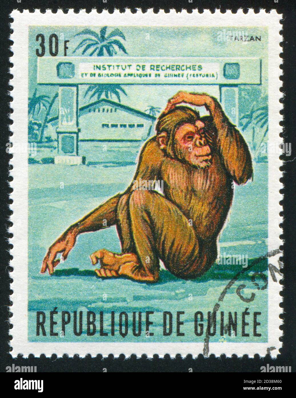 GUINEA - CIRCA 1969: stamp printed by Guinea, shows monkey, circa 1969 ...