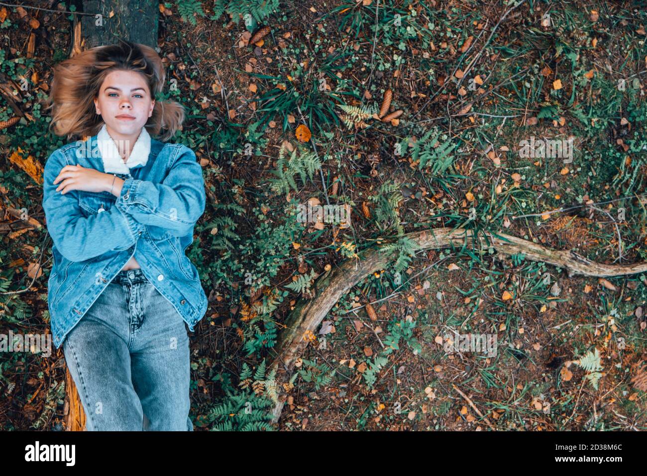 A girl in the woods on a tree, a view from above Stock Photo - Alamy