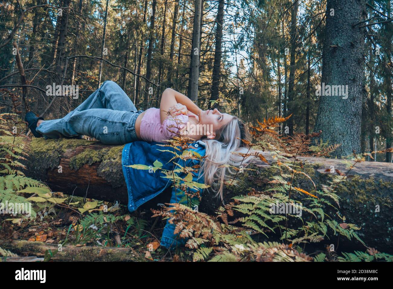 A girl in the woods on a tree, a view from above Stock Photo - Alamy