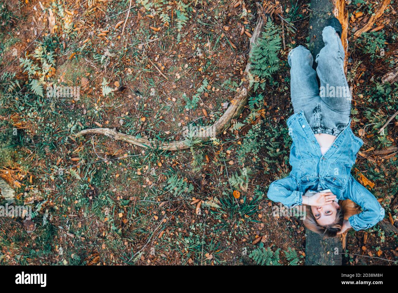 A girl in the woods on a tree, a view from above Stock Photo - Alamy