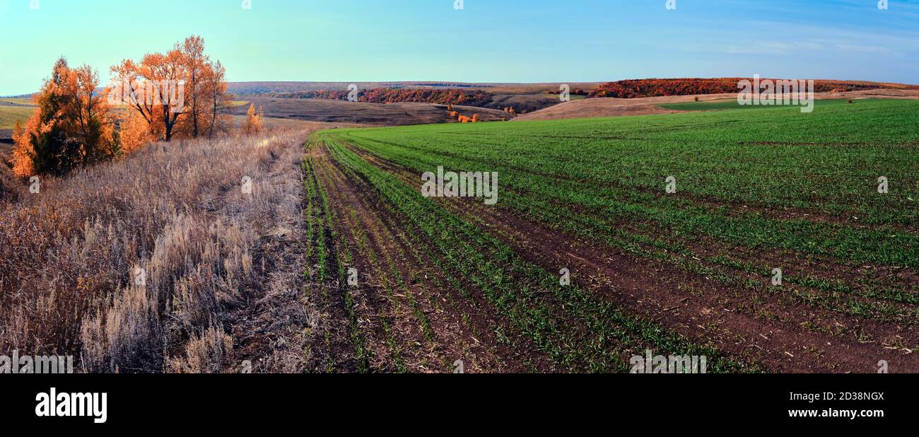 Panoramic landscape of central Russia agricultural countryside with ...