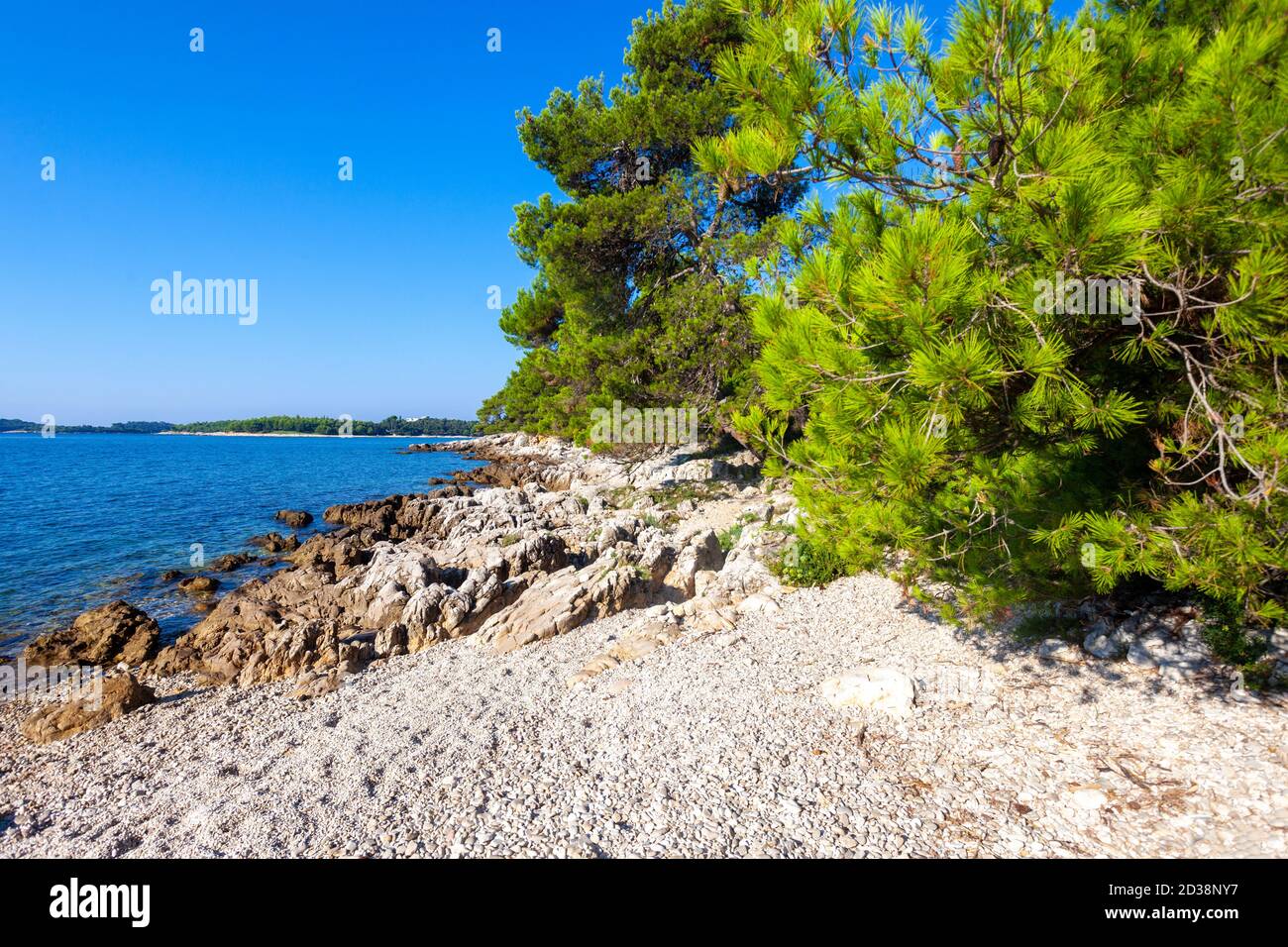 The natural beach Zlatni rt (Golden Cape) in Rovinj town, Croatia Stock ...