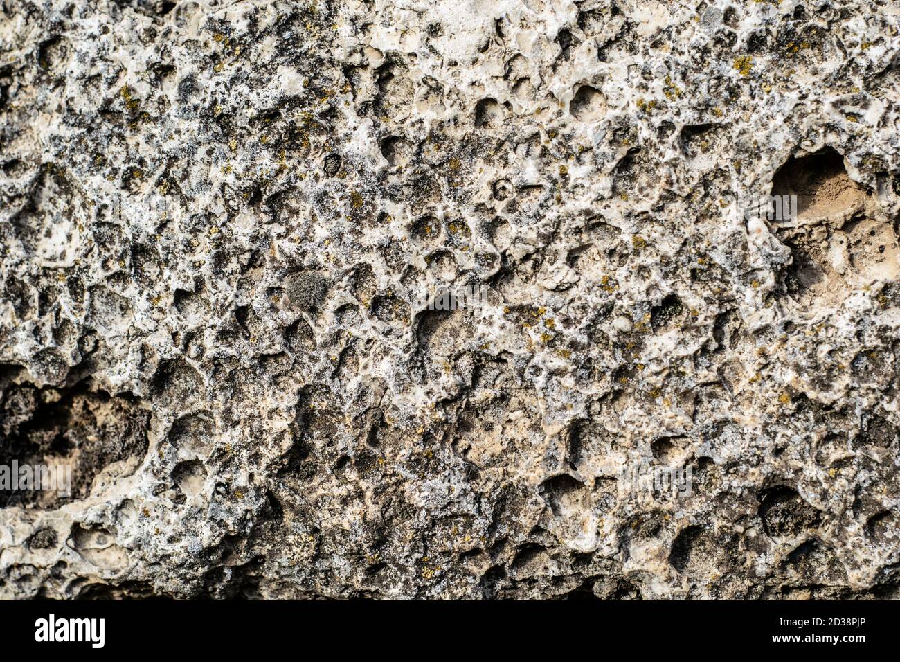 old weathered shell stone surface background texture backdrop Stock ...