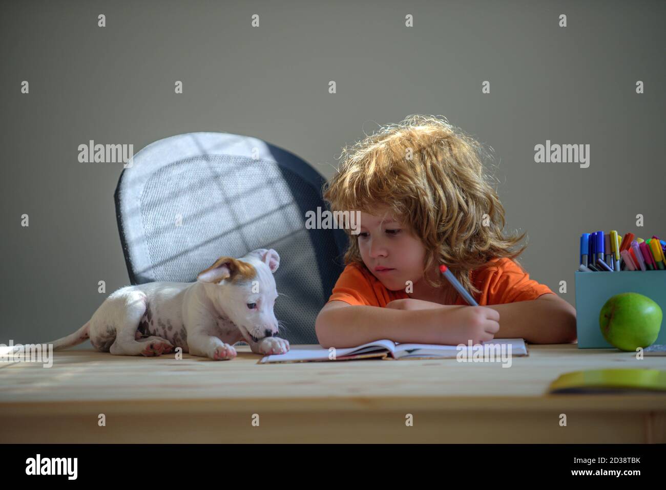 Cute little boy with puppy dog doing her homework. Education childhood ...