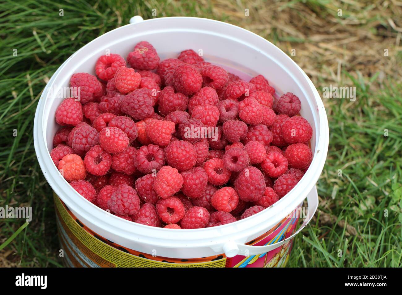 Sweet raspberries in the plastic container Stock Photo - Alamy
