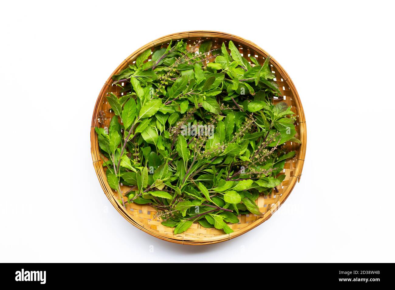 Fresh holy basil leaves in wooden bamboo threshing basket on white ...