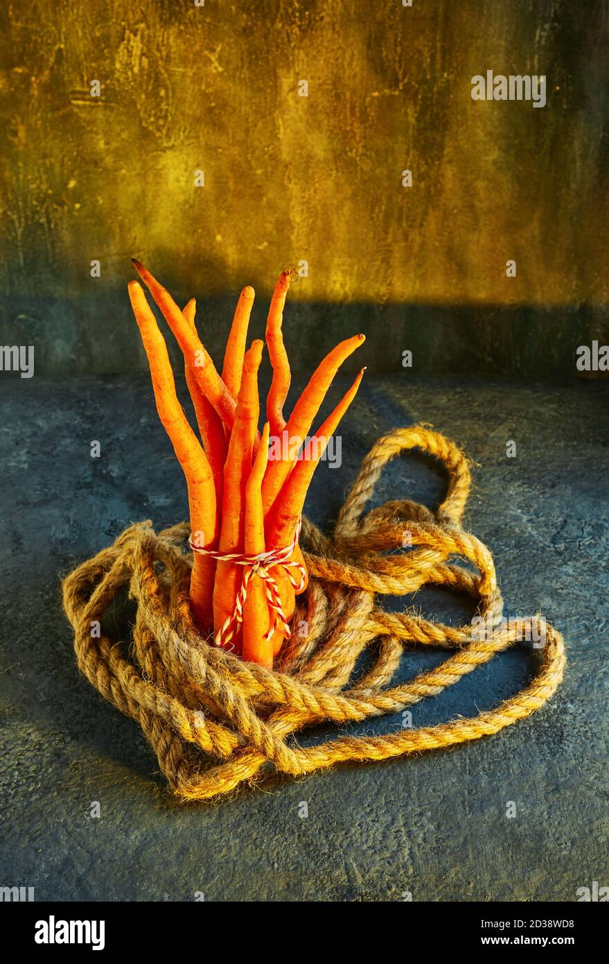 Ugly food. Deformed organic carrots on a rope on a blue background ...