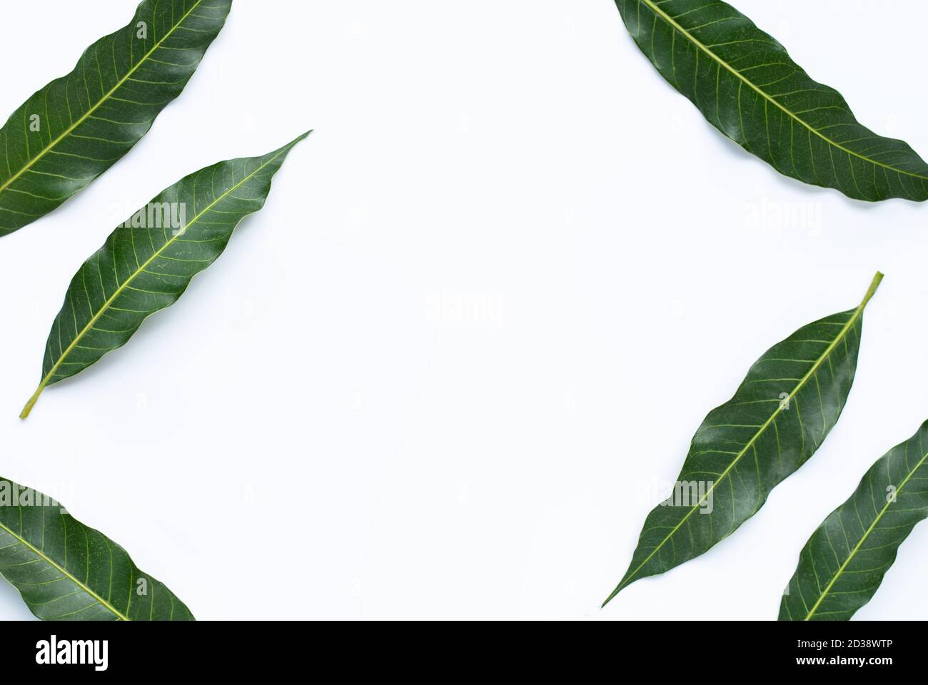 Frame made of mango on white background. Copy space Stock Photo - Alamy