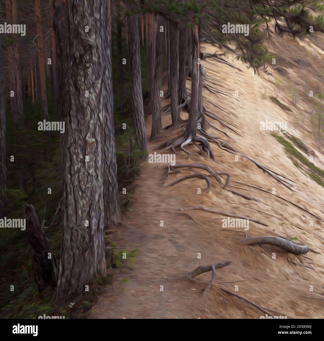 Close up view of a steep slope, drop-off of sand by a riverside. Pine ...