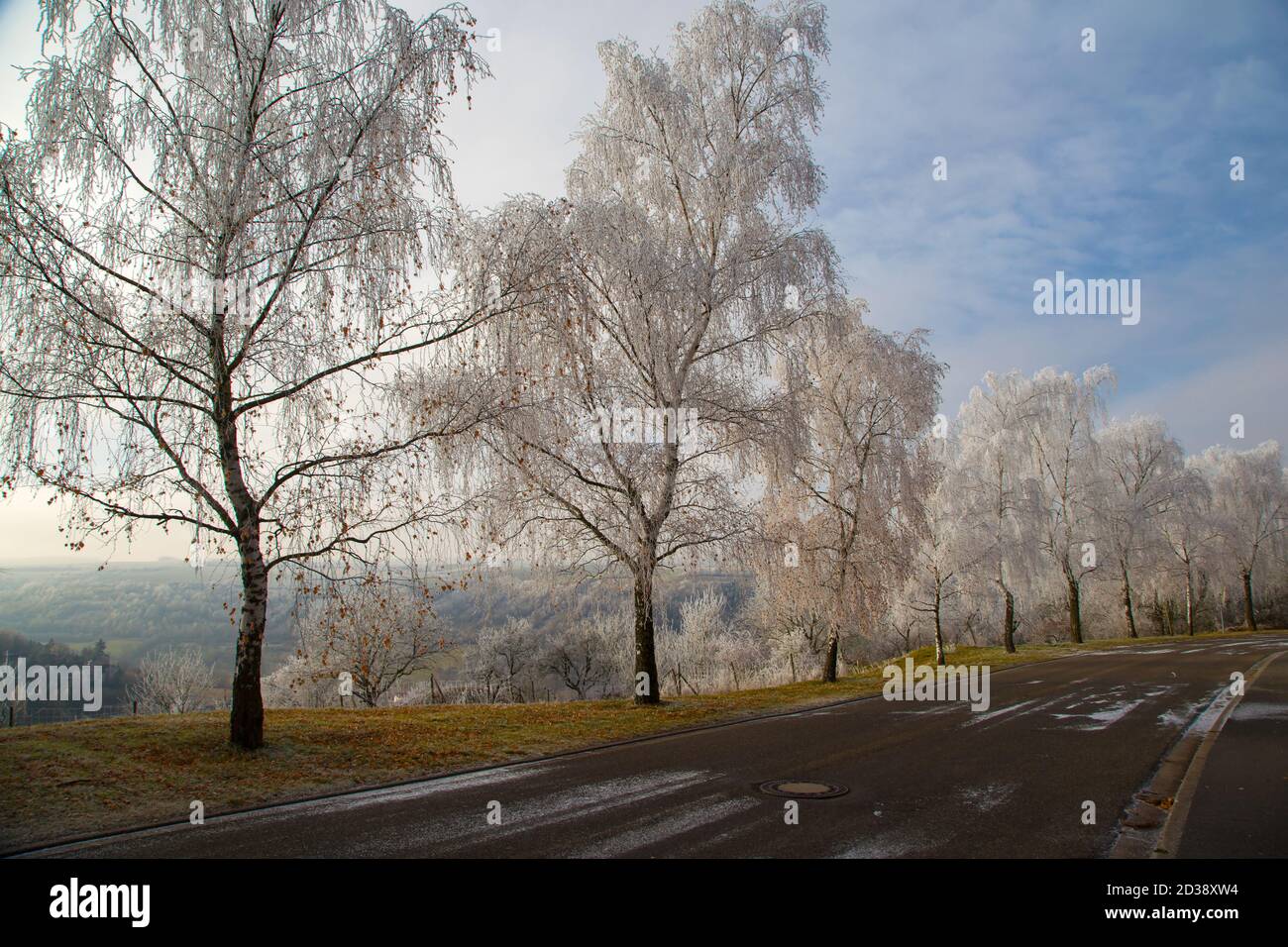 Road leading through a path with trees Stock Photo - Alamy