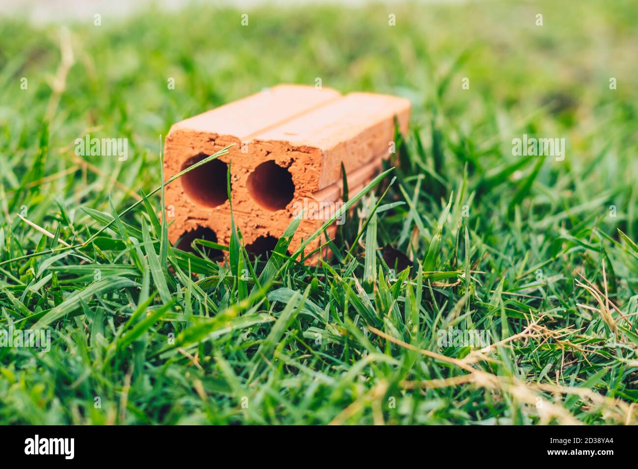 Close up detached New red brick with holes on green grass in sun day ...