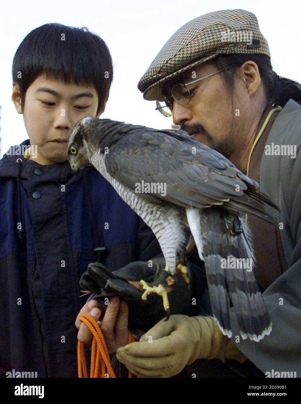 Traditional hunting in japan hi-res stock photography and images - Alamy