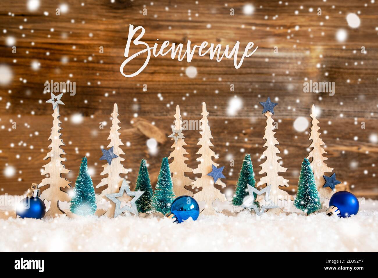 Christmas Tree, Snowflakes, Blue Star, Ball, Bienvenue Means Welcome ...