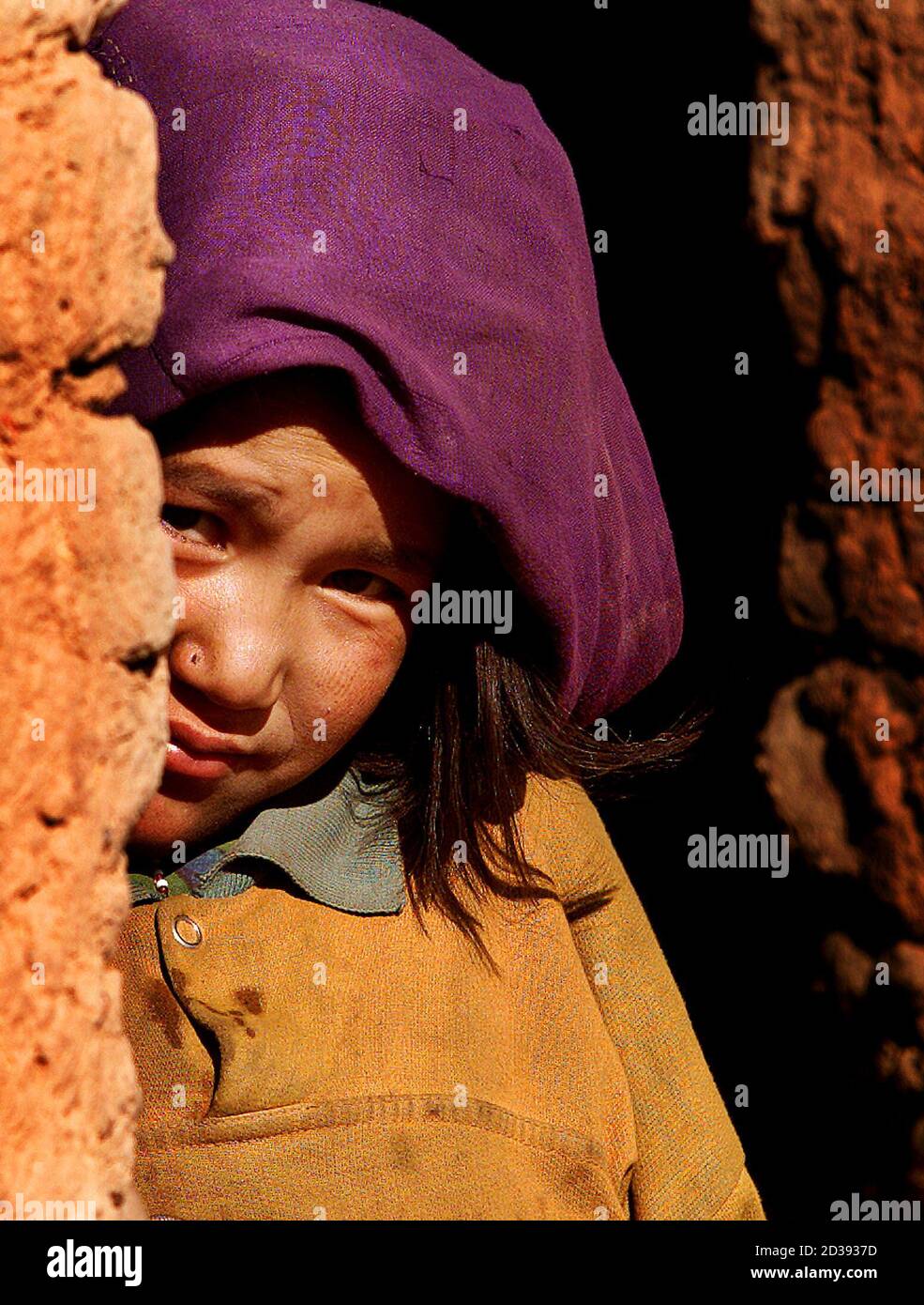 World war 2 horror hi-res stock photography and images - Alamy