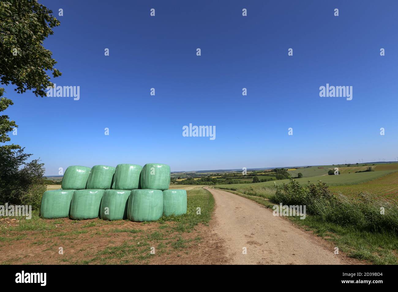 Grass hays covered in plastic in the countryside in Germany Stock Photo ...