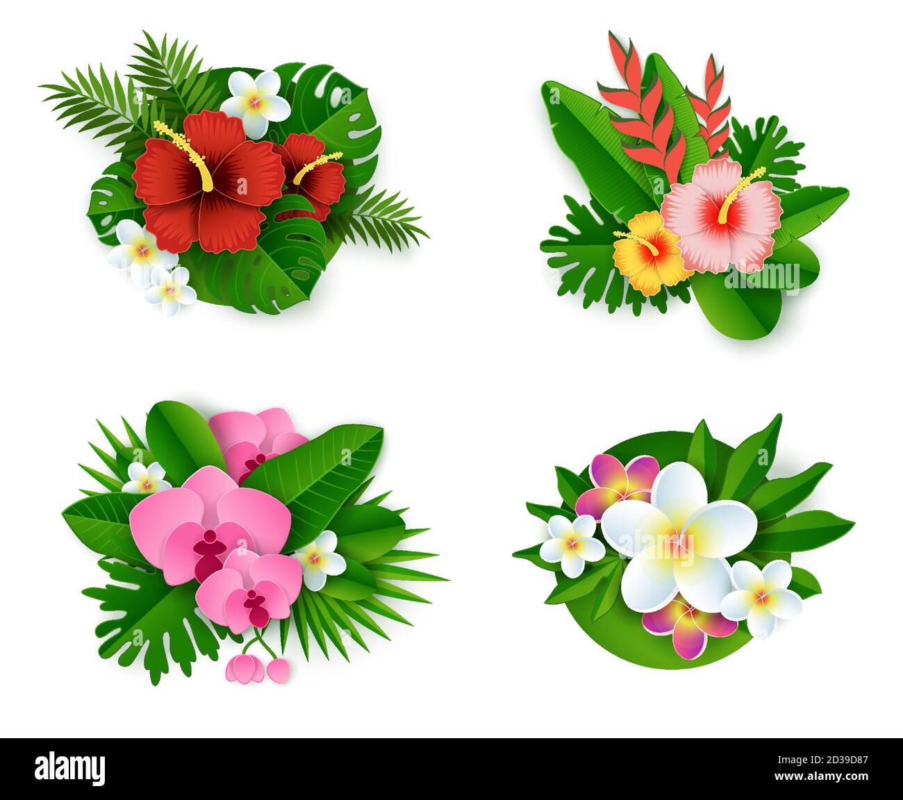 Pink hibiscus flowers composition Stock Vector Images - Alamy