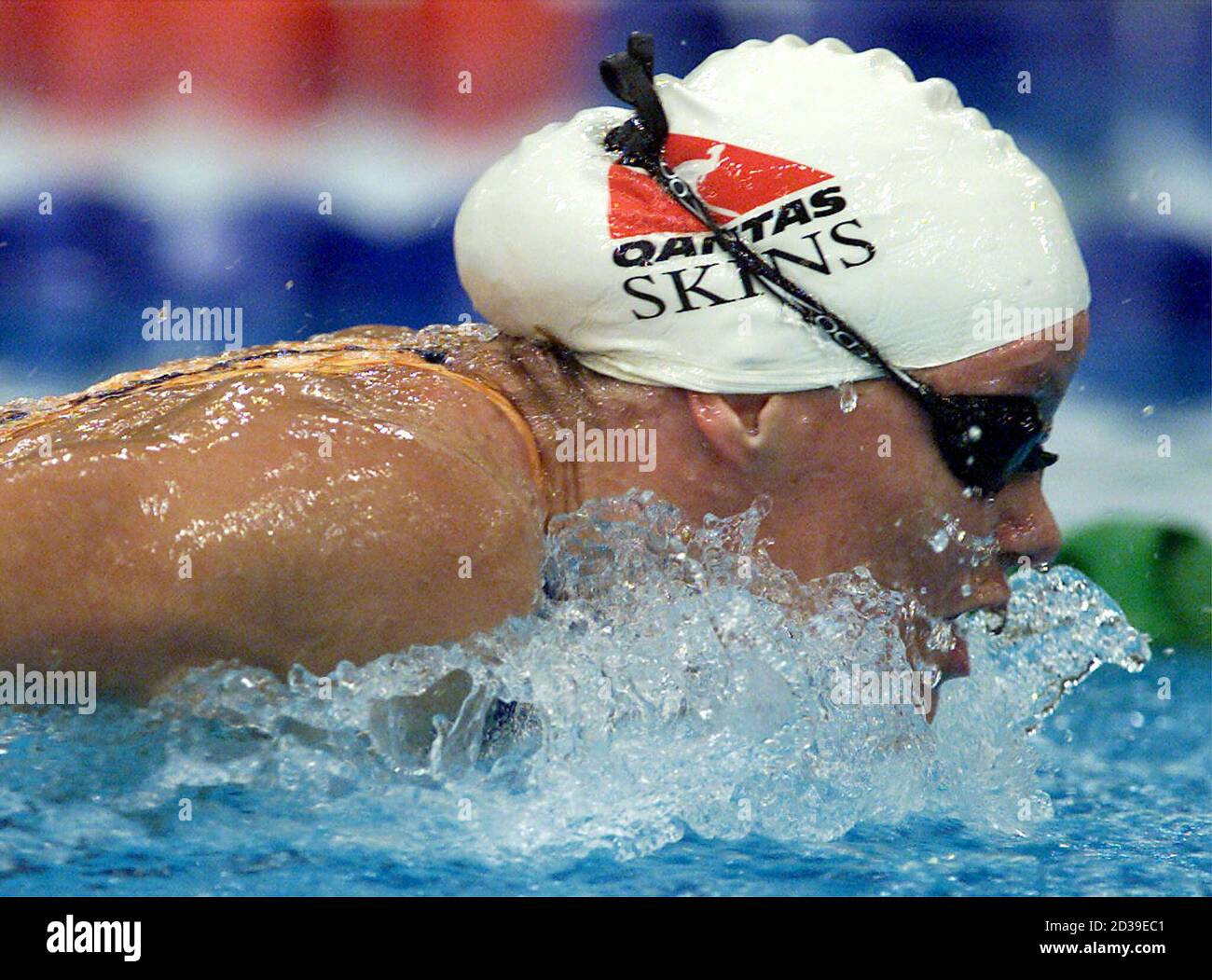 Pieter van den butterfly hi-res stock photography and images - Alamy