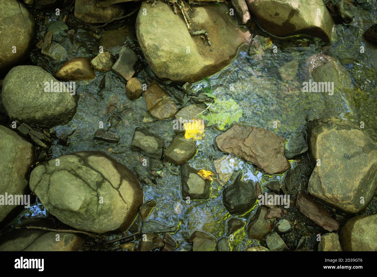 Stream with stones hi-res stock photography and images - Alamy