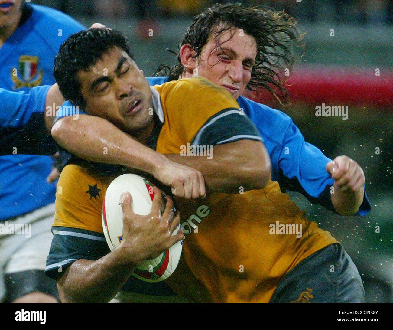 Australias toutai kefu hi-res stock photography and images - Alamy