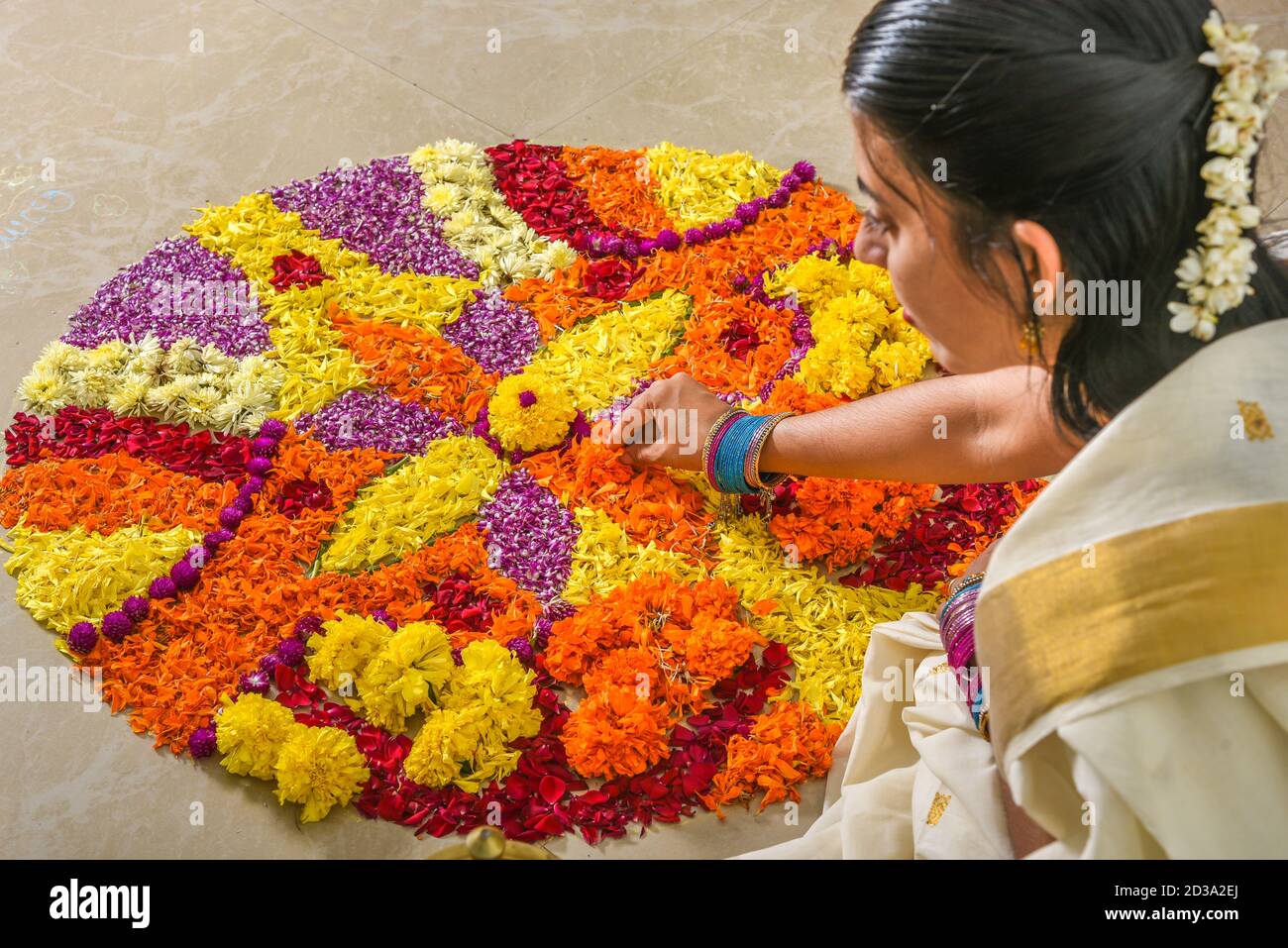 Kerala Onam festival, Indian woman putting Flower bed Pookalam ...