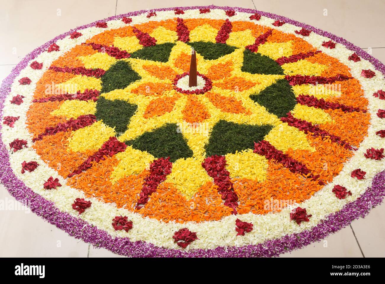 Kerala Onam festival, Indian woman putting Flower bed Pookalam ...