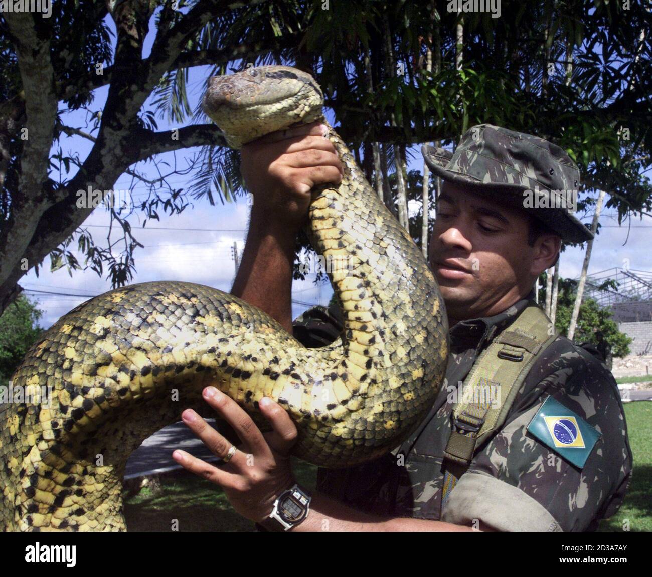 Operation Anaconda High Resolution Stock Photography and Images - Alamy