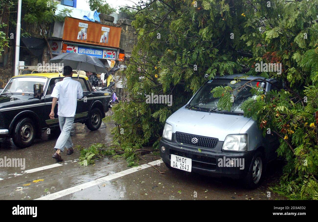 Car stuck tree hi-res stock photography and images - Alamy