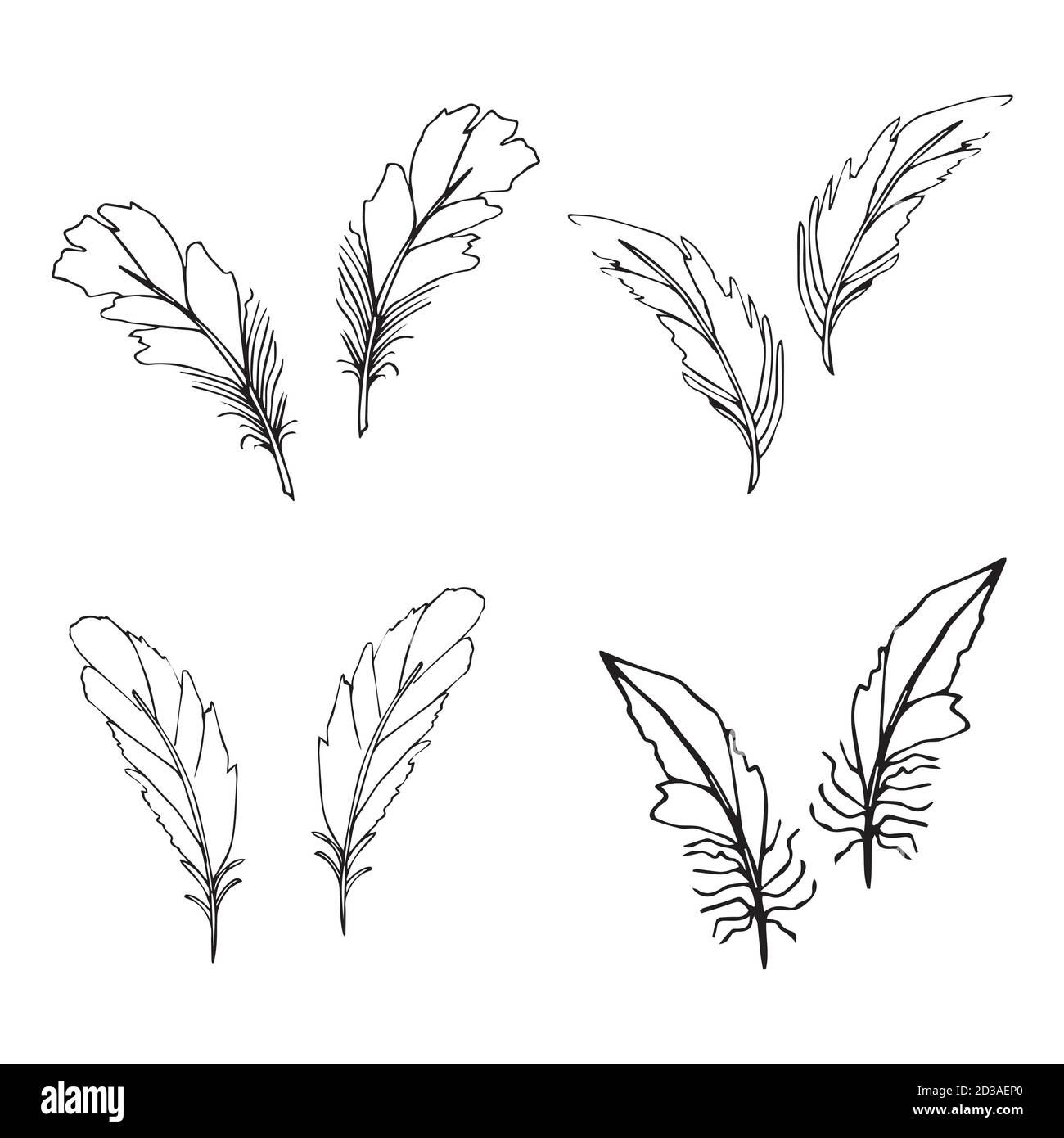 Hand drawn feathers set on white background Stock Vector Image & Art ...