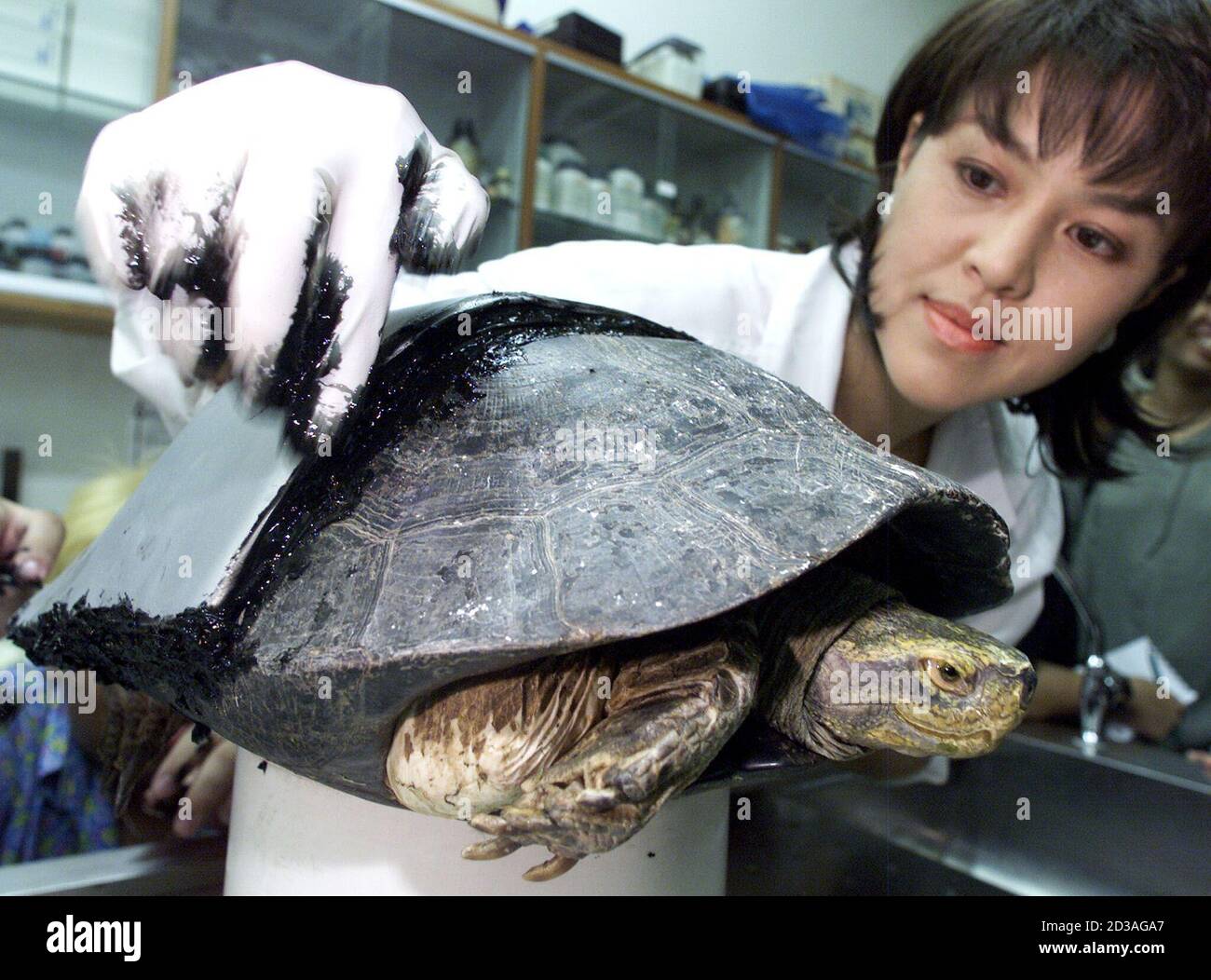 Man made fibre hi-res stock photography and images - Alamy