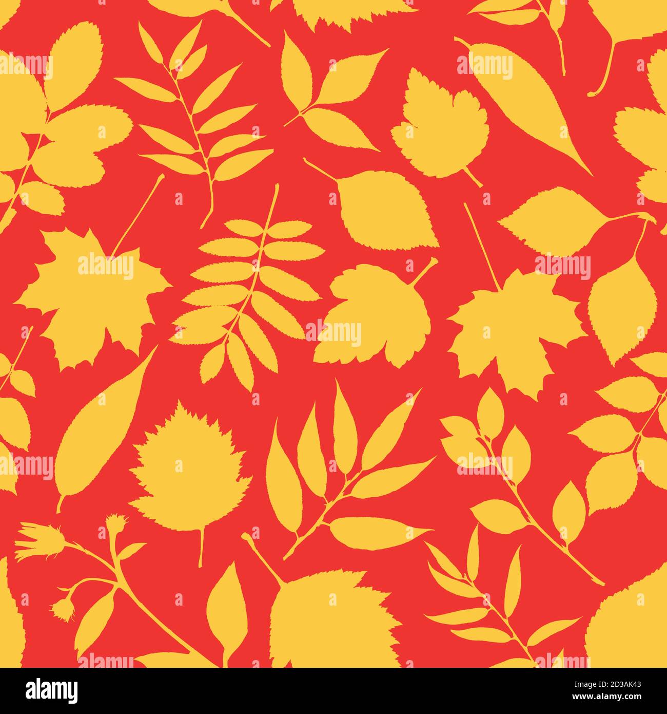 Beautiful leaf colors in forest Stock Vector Images - Alamy