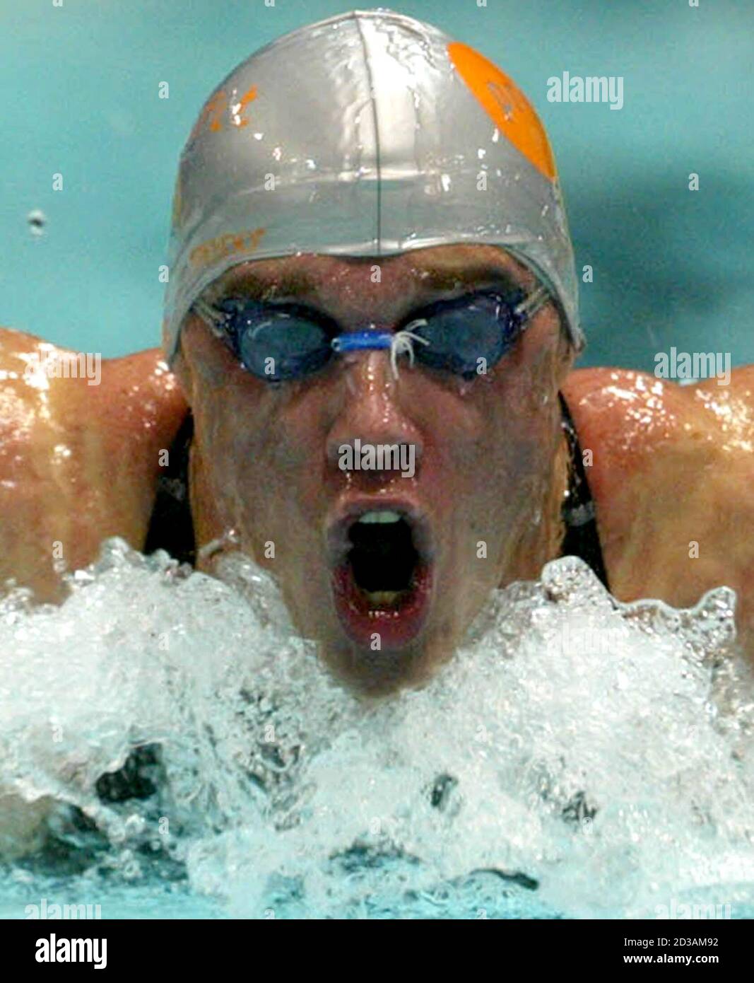 100 Metres Butterfly High Resolution Stock Photography and Images - Alamy