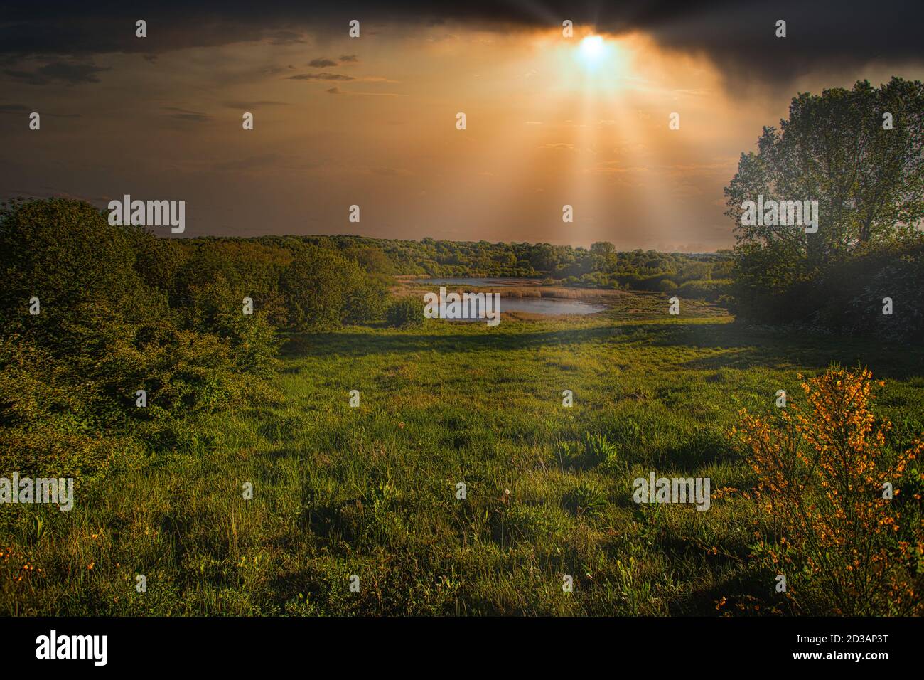 Lots of greenery hi-res stock photography and images - Alamy