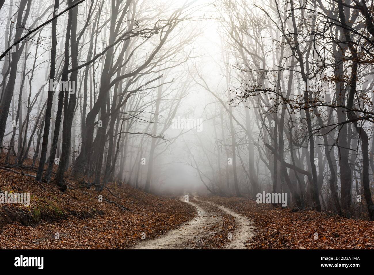 Eerie landscape hi-res stock photography and images - Alamy